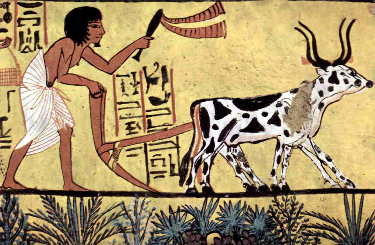 Eras Of The Origin Of Agriculture | Kofa Study