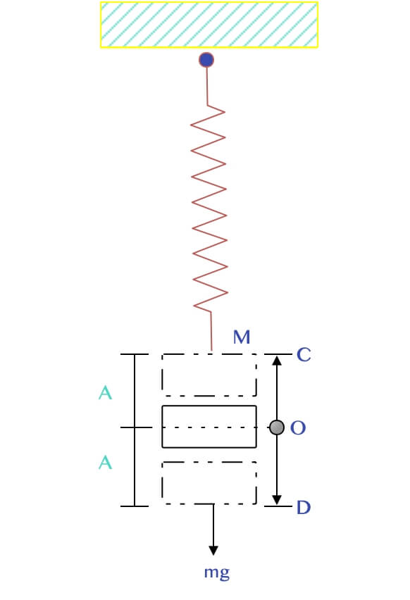 Illustration Of Simple Harmonic Motion | Kofa Study