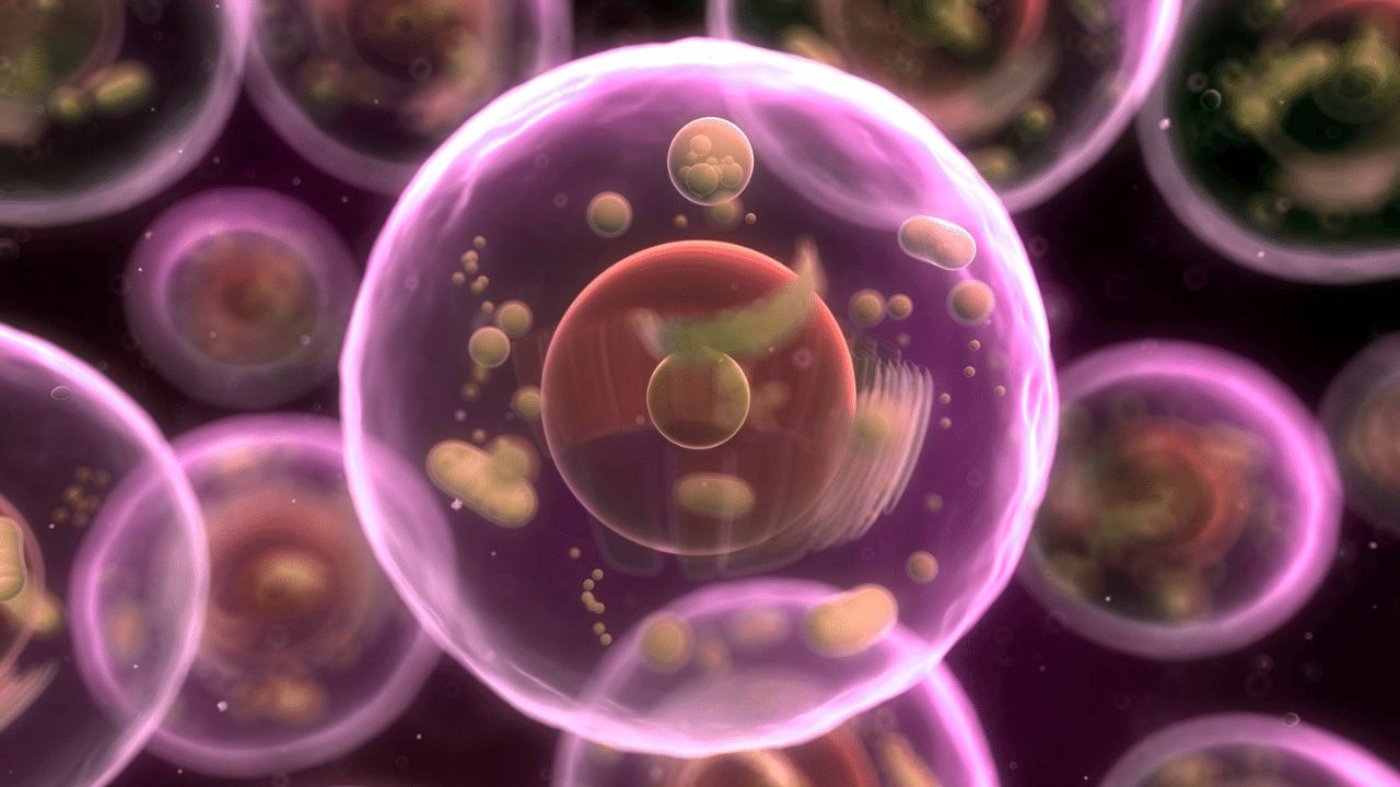 Cell As The Basic Structural Unit Of Living Organisms | Kofa Study
