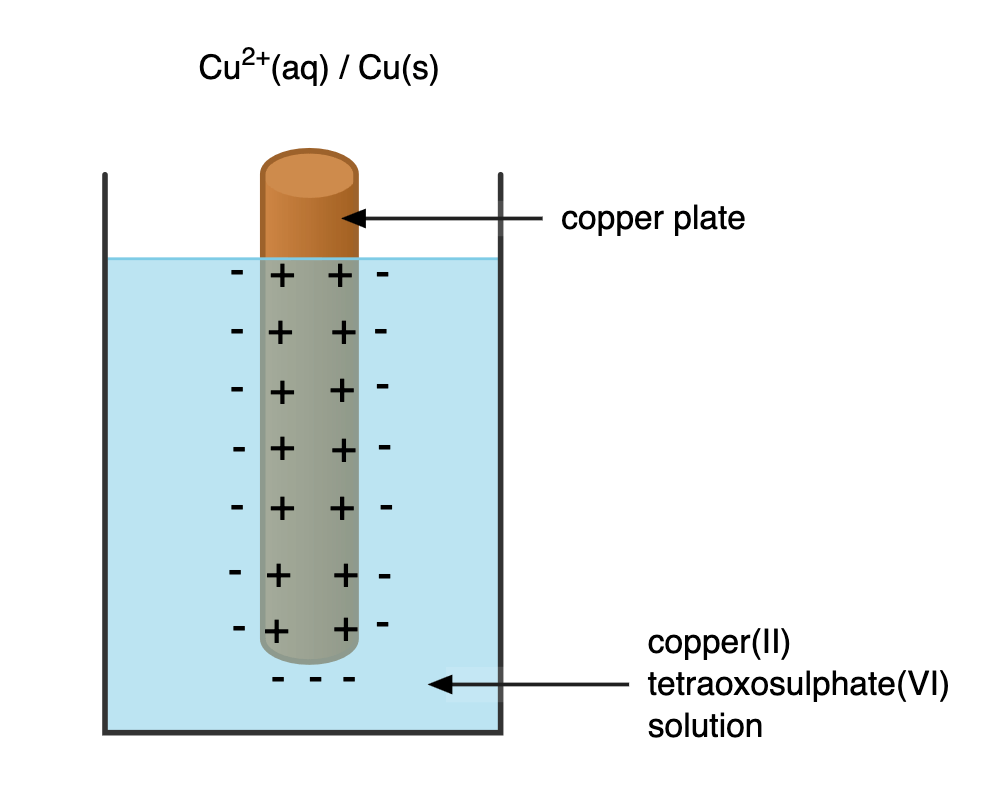 Electrode Potential | Kofa Study