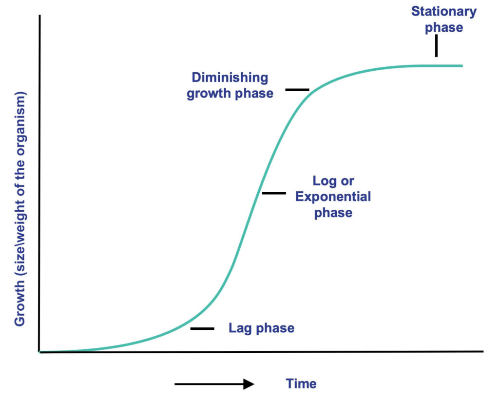 Factors Affecting Growth Of Living Organisms | Kofa Study