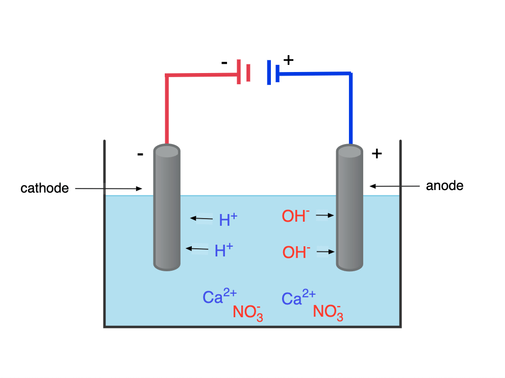 Preferential Or Selective Discharge Of Ions During Electrolysis | Kofa ...