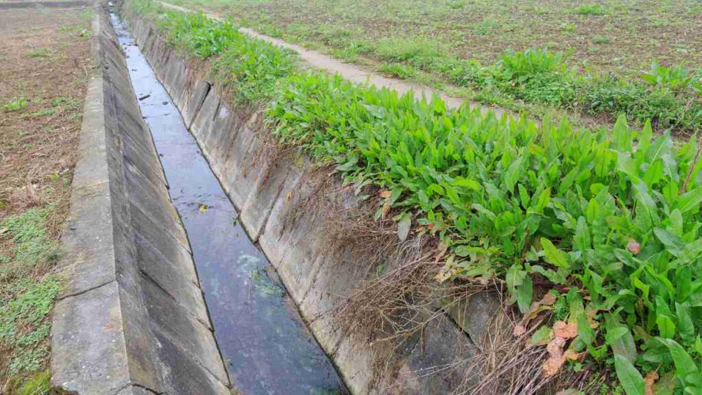 Types Of Drainage System | Kofa Study