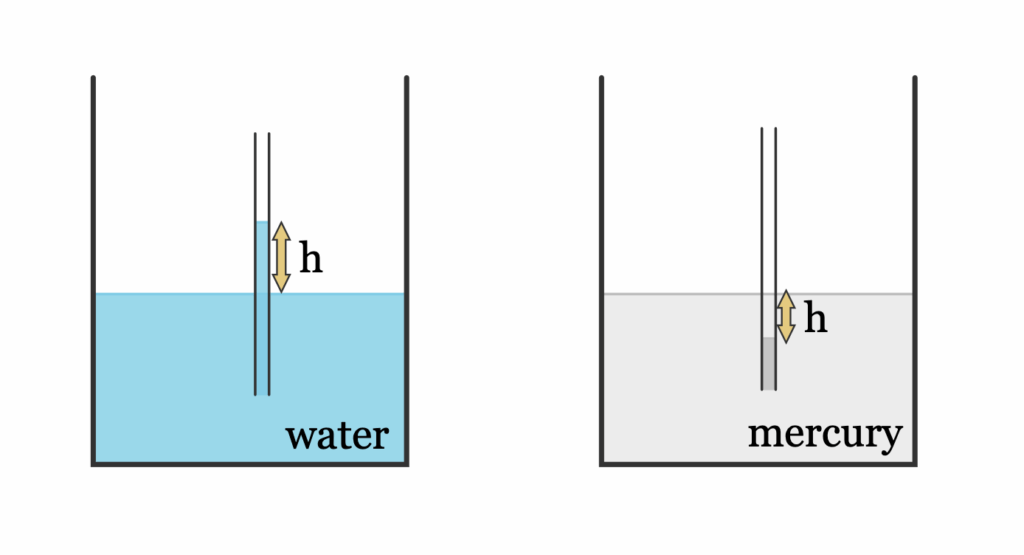 Capillarity | Kofa Study