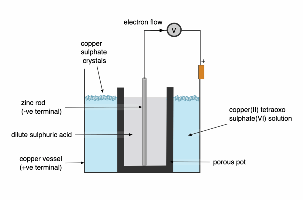 Primary Cells | Kofa Study