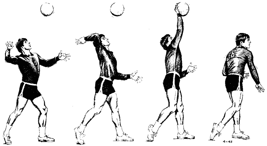 Volleyball Basic Skills / Techniques | Kofa Study
